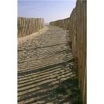 project boundaries | Your Guide to Project Management Best Practices