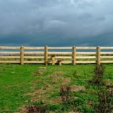 Six Sigma in Project Management - Definition, Cycle, Success Factors